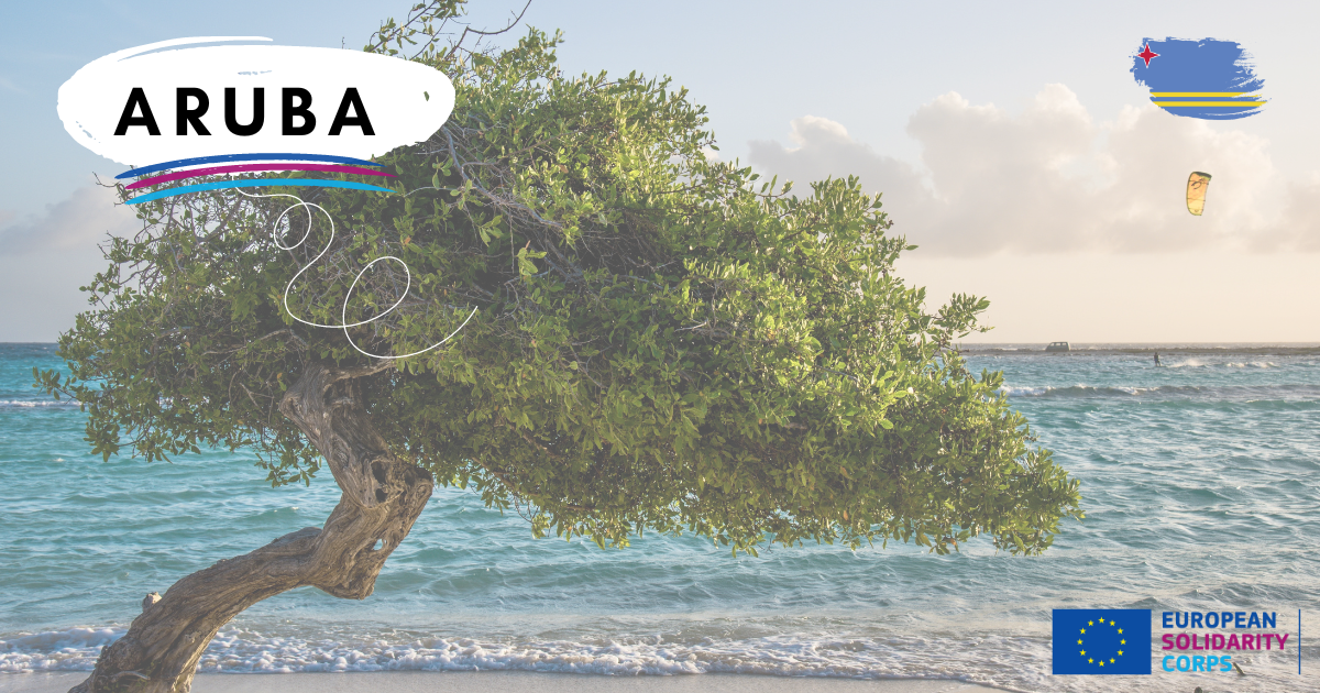 ESK Freiwilligendienst bei CEDE Aruba, Aruba - ab Oktober 2024 ...
